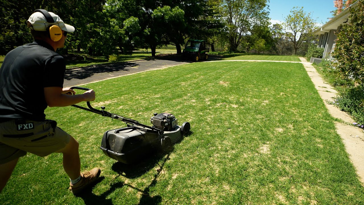 First Mow On My Lawn Renovation // Week 3 Results - Mowrs.com