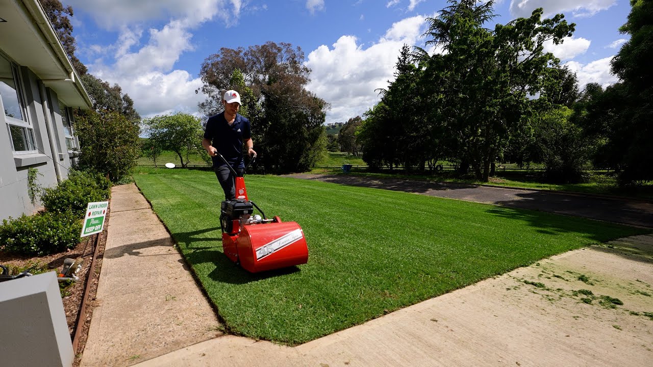 Lawn Renovation Results After 2 Weeks // FIRST MOW!! - Mowrs.com