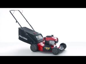 CRAFTSMAN M110 140-cc 21-in Gas Push Lawn Mower with Briggs & Stratton ...