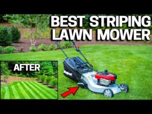 Best Lawn Mower for Stripes - Masport Rotarola Rotary Walk Behind New ...