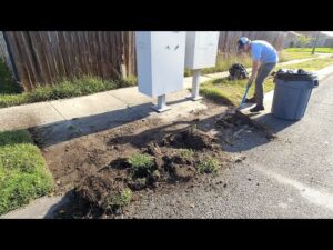 INJURED Homeowner UNABLE to Keep Up with Lawn gets SURPRISE ...