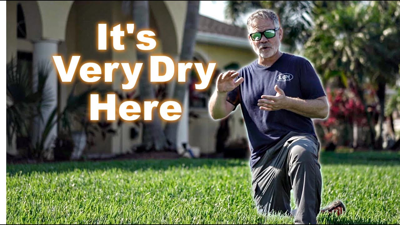 Dry Lawn // Gulf States Watering Tips In The Dry Season - Mowrs.com