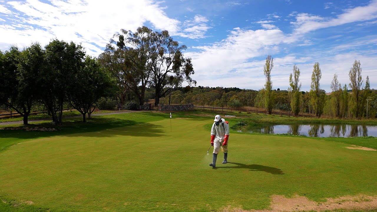 Damage To My Golf Green Already?! Here’s How I'm Fixing it… - Mowrs.com