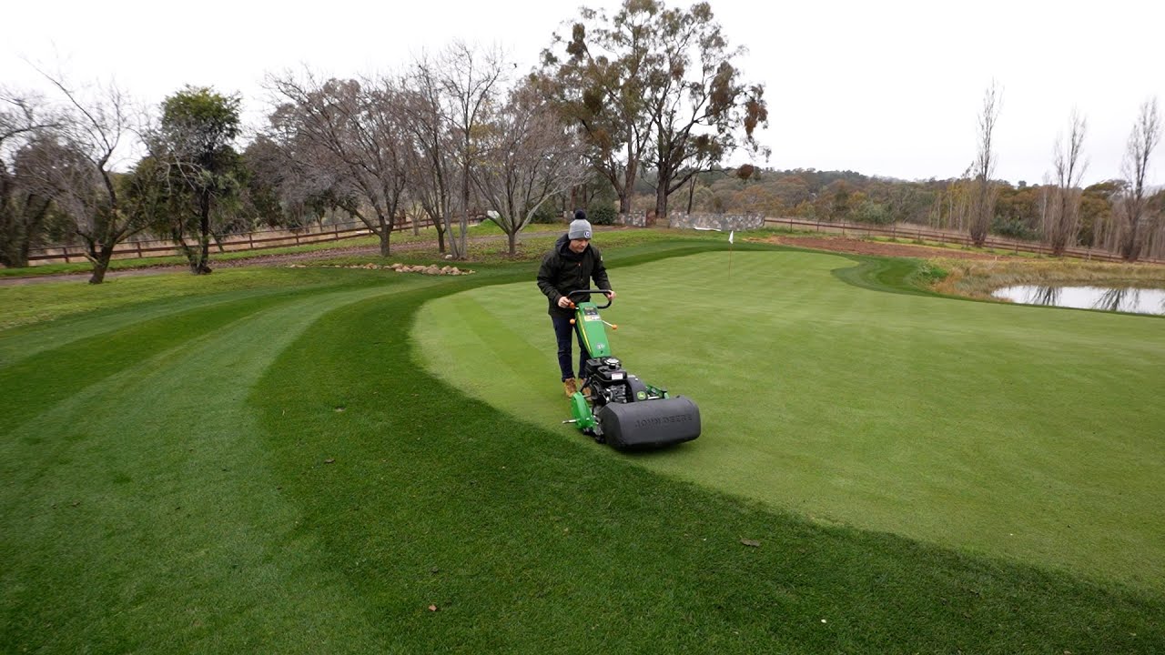 I'm mowing at 3mm (0.11" ) and the Colour Is INSANE - Mowrs.com