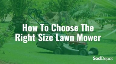 Choosing the Perfect Lawn Mower Size - Mowrs.com