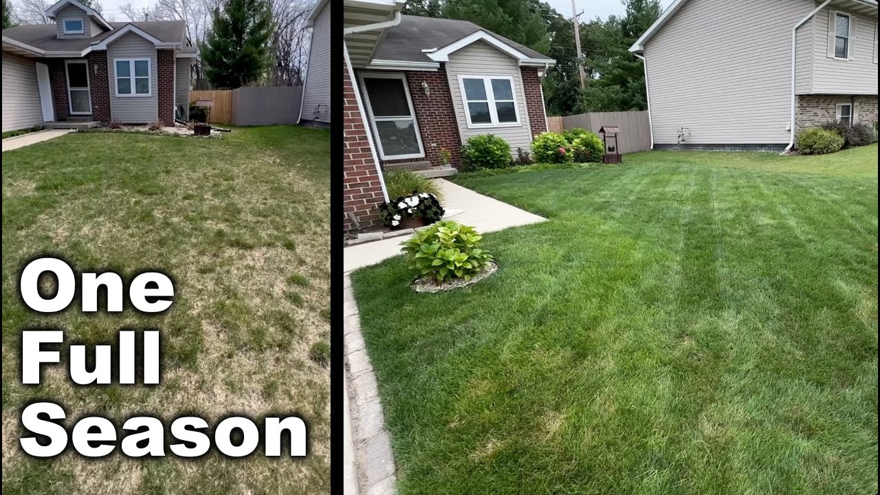 Thickening Up A Lawn (Cool Season) - 1 Year of Results and Learnings ...