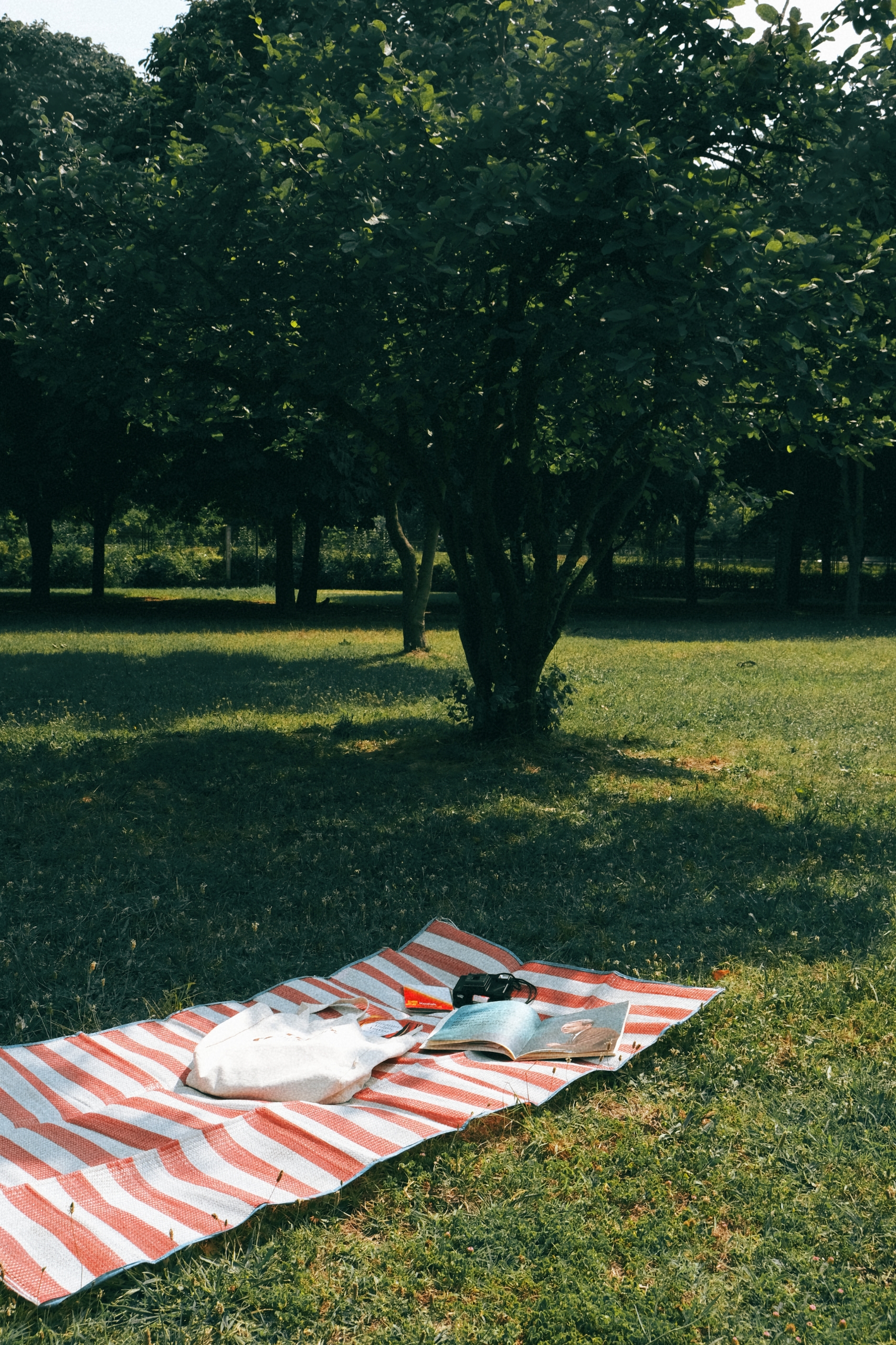 Creating Striped Patterns on Your Lawn with a Lawn Mower - Mowrs.com