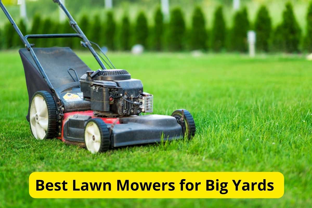 Tips for Selecting the Perfect Mower for Large Lawns - Mowrs.com