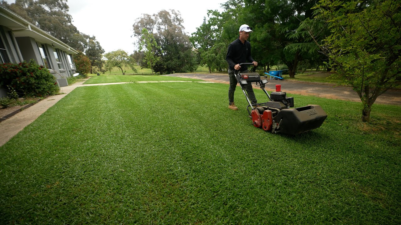Enhancing Your Lawn with a Lawn Groomer - Mowrs.com