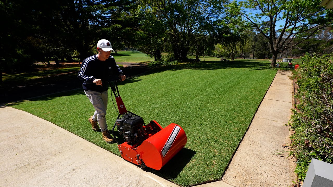 First Reel Mow On My Renovated Lawn - Mowrs.com