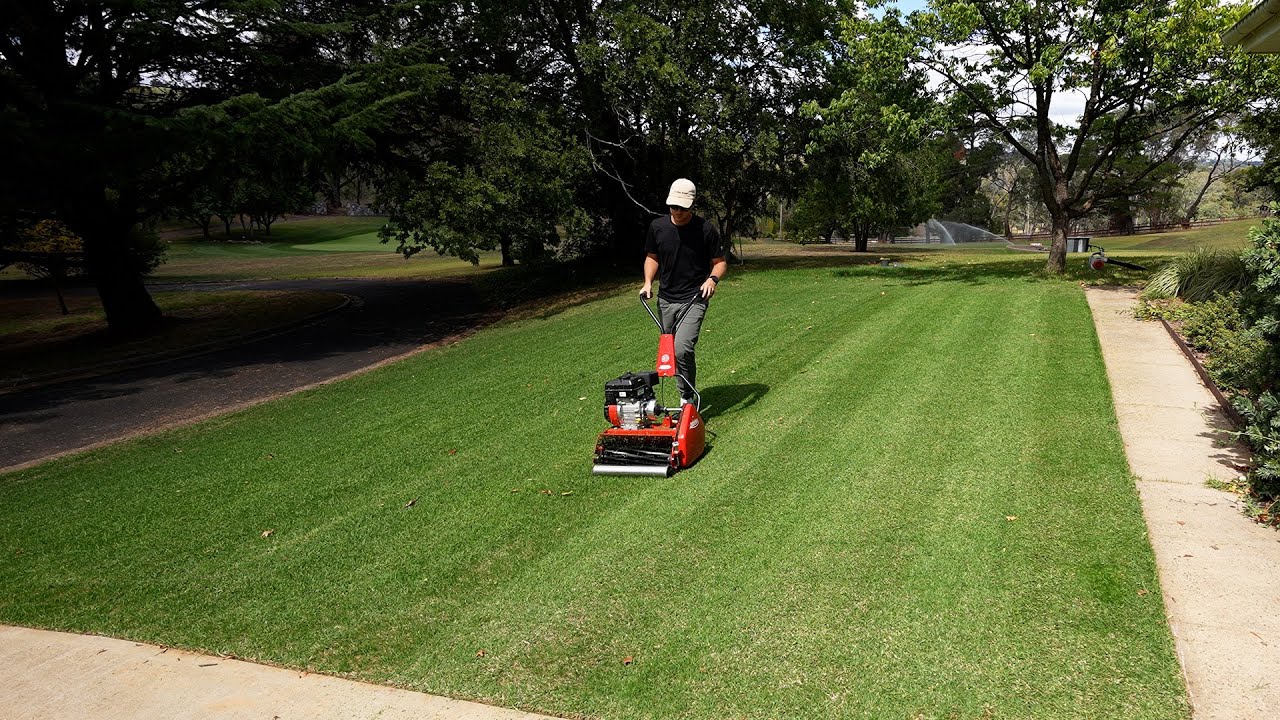 First Reel Mow on My Ryegrass Seed // Week 2 Seed Results - Mowrs.com