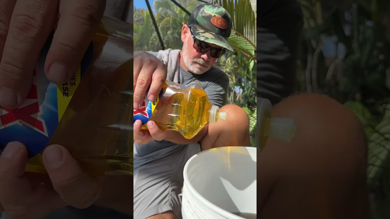 Magic Mixture Keeps Potted Plants Alive #plants #houseplants #gardening ...