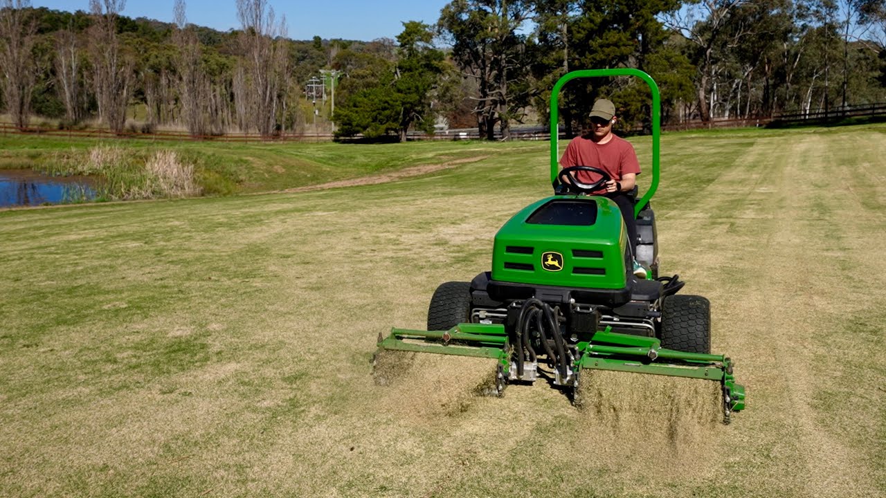 Heavy Scalp and Dethatch on The Tiftuf Bermuda Couch - Mowrs.com