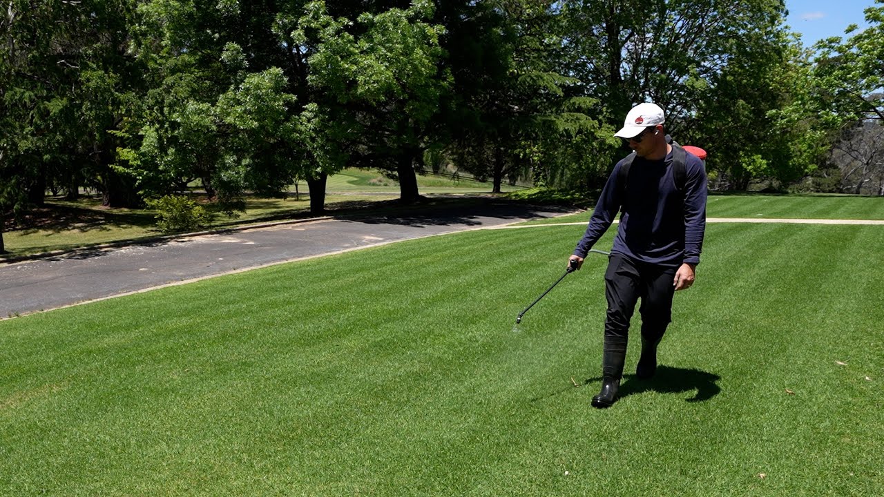 Why You Should Use PGR on Your Lawn // Slow Growth, Improve Health ...