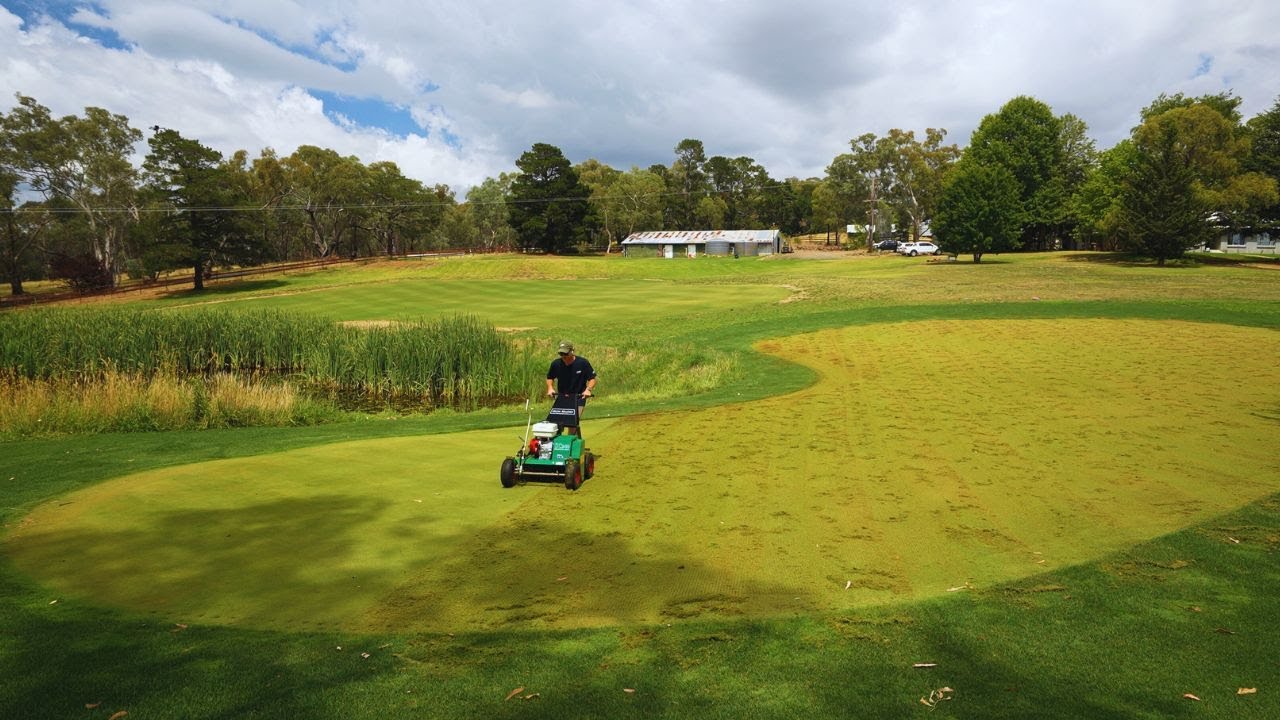 Tearing up my Lawn? // Heavy Dethatch - Mowrs.com