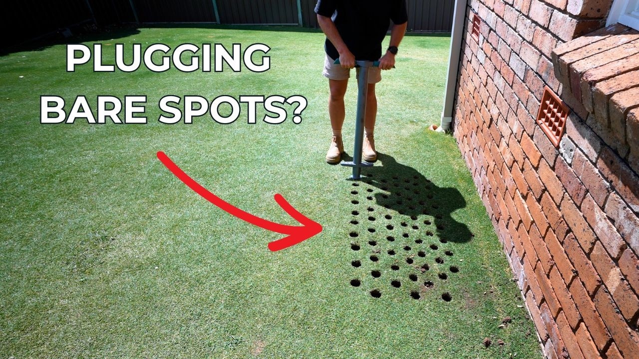 How To Plug Bare Spots // PGR & Plugging - Mowrs.com