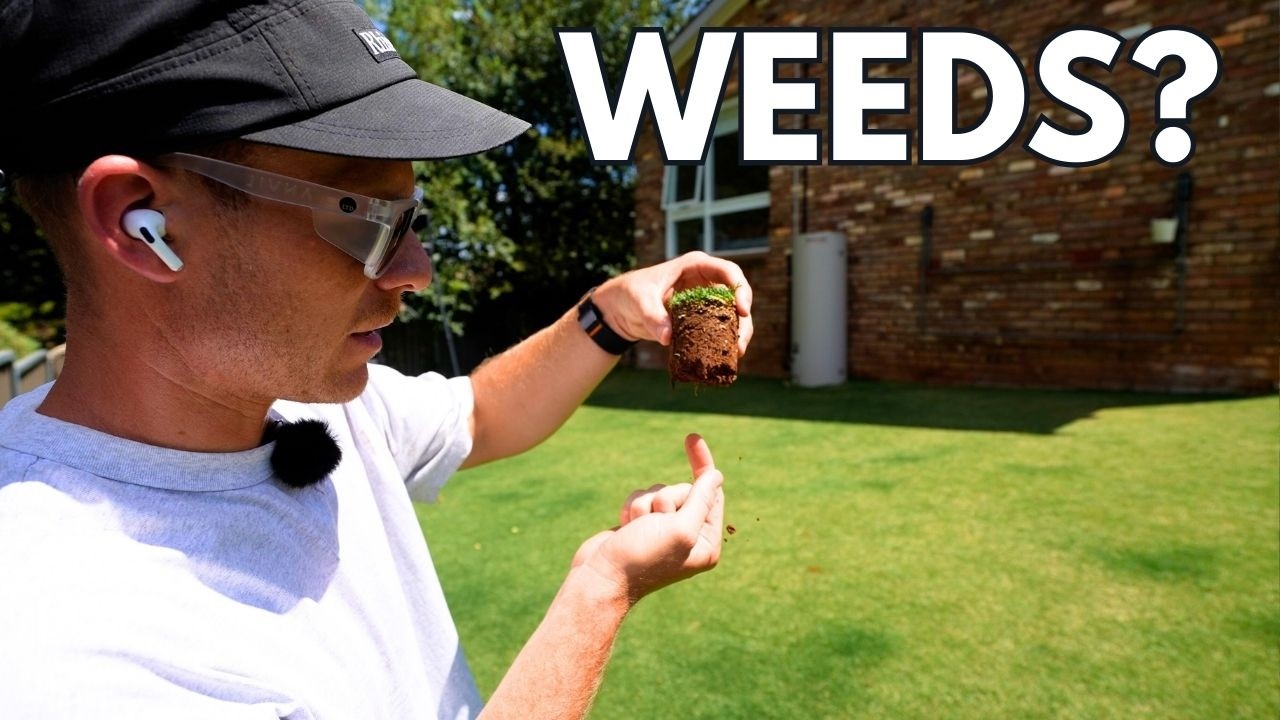 This Is Getting Bad // Weed Help - Mowrs.com